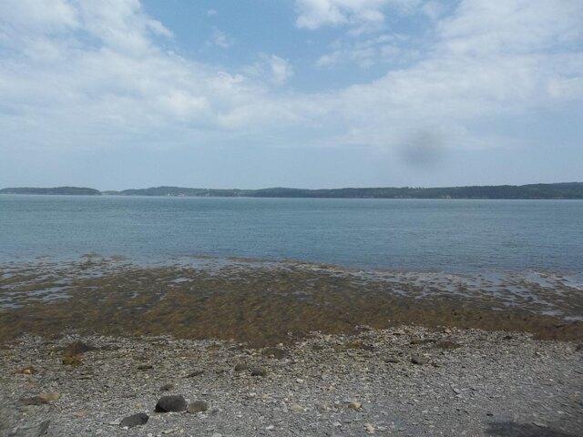 Indian Rd, Eastport, Plot For Sale