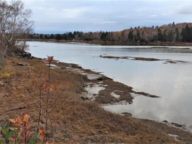 Indian River Rd, Jonesport, Plot For Sale