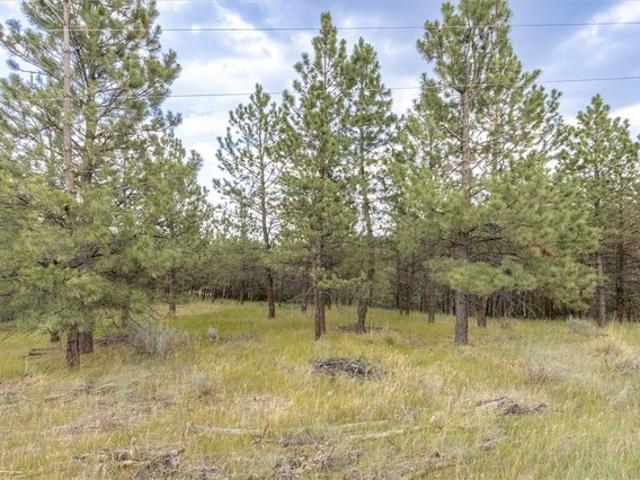 Indian Ridge Rd, Billings, MT 59101