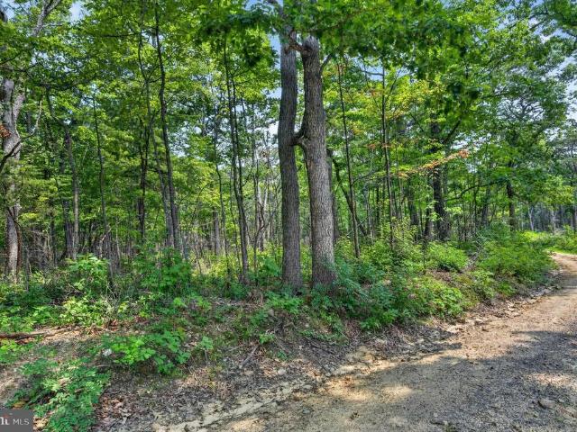Indian Trail Road