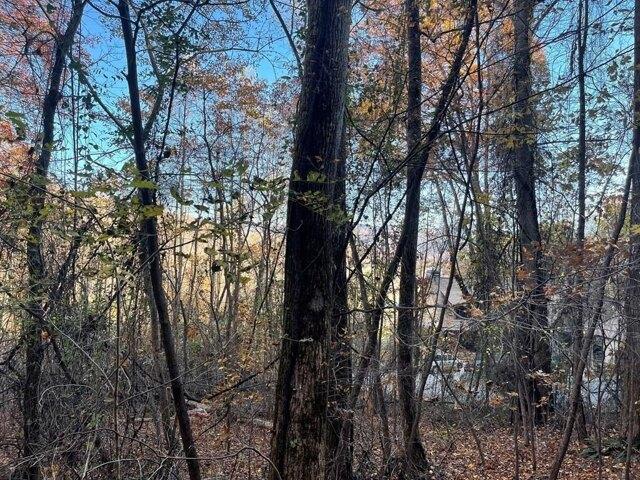 Indian Trl Lot J, Hayesville, Plot For Sale
