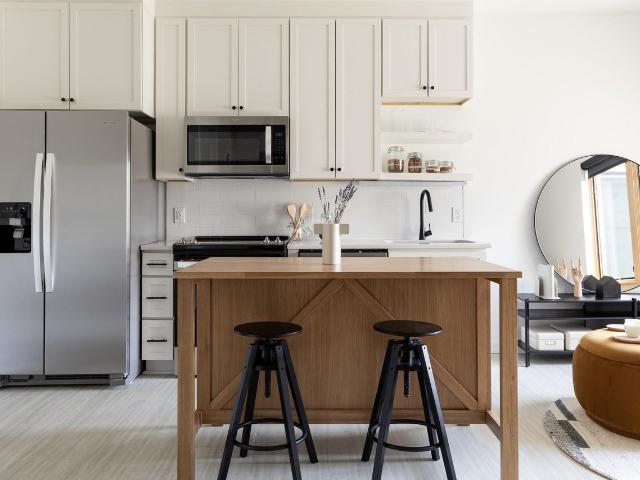 Inkwell 2 Bedroom Apartment for Rent at 730 E 36th St, Charlotte, NC 28205 NoDa