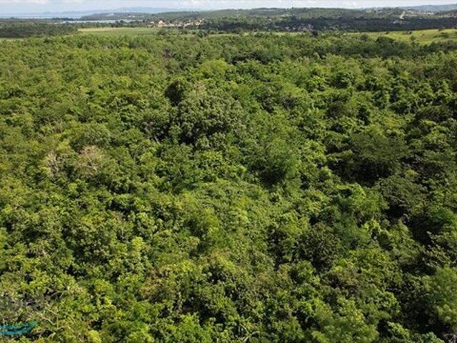 Int Pr #,cabo Rojo, Plot For Sale