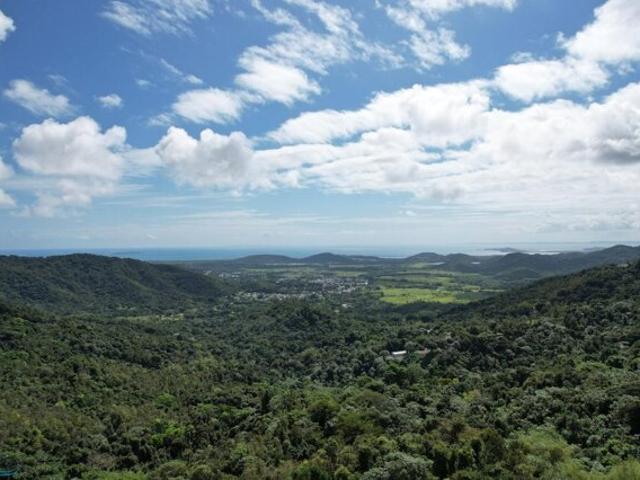 Interior Carr Pr #,fajardo, Plot For Sale