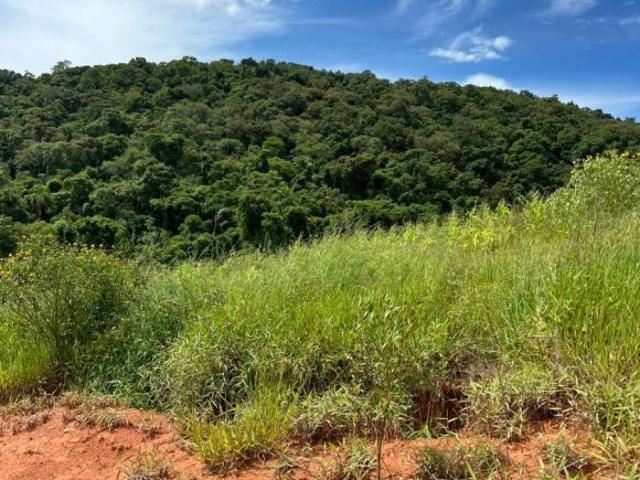 INTERIOR DE SP VALORIZANDO – LOTES 1000M² EM IBIÚNA