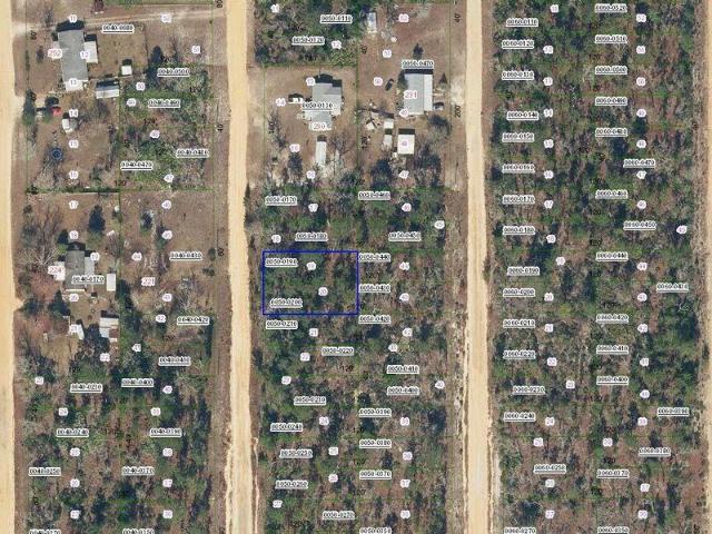 Interlachen FL 32148 LS101012140