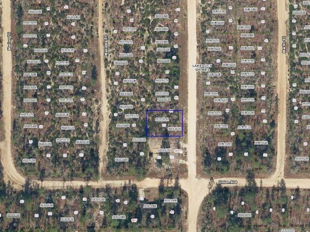 Interlachen FL 32148 LS101012136