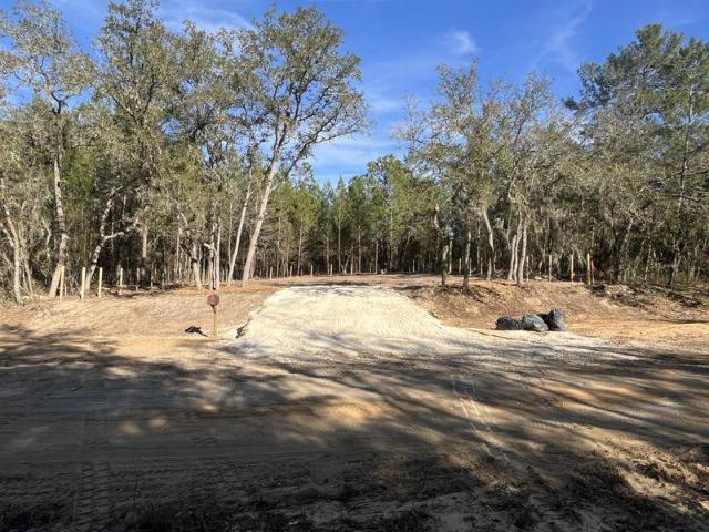 Interlachen FL 32148 LS101012232