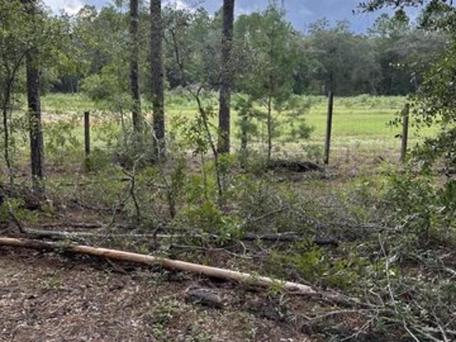Interlachen Lakes Ests, Interlachen, FL 32148