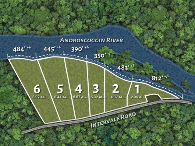 Intervale Subdivision Rd Lot,bethel, Plot For Sale