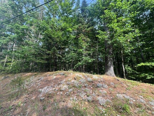 Intervale Rd Lot,bethel, Plot For Sale