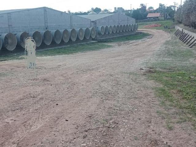 Investimento garantido 12 alq. 7 aviarios automatizados