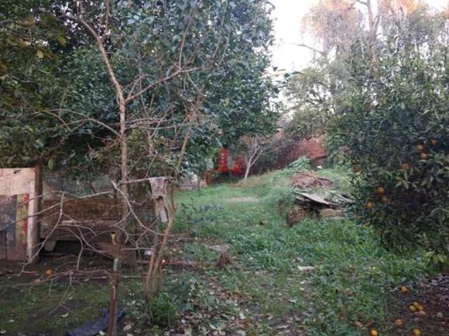 Investimento em Esteio