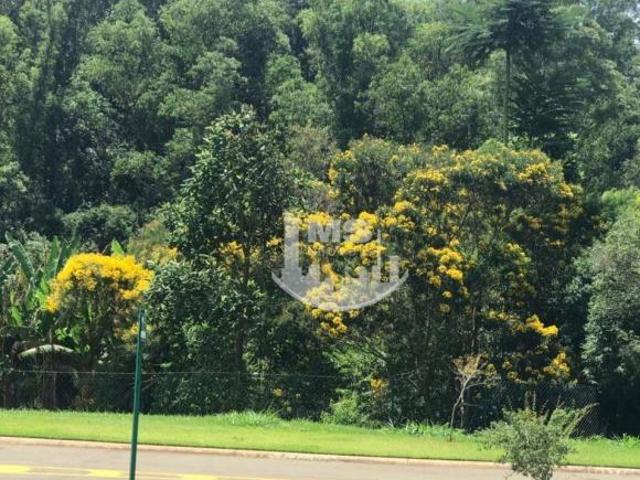 Investimento! Terreno 800 m²
