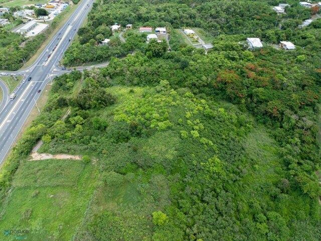 Invierte Donde El Crecimiento Es Inevitable, Camuy, Plot For Sale