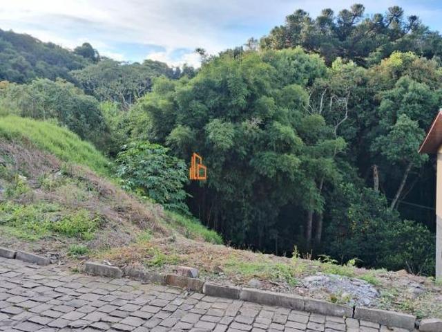INVISTA NESSE TERRENO NO B. FENAVINHO!