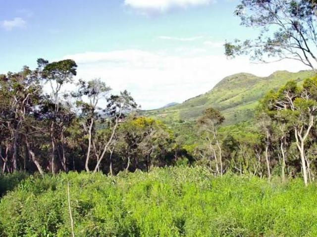 Invista no bairro que mais cresce perto da Rota do Vinho. Terreno Aclive
