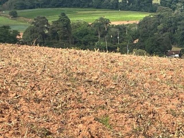 Invista no Interior Paulista – Terreno em Ibiúna