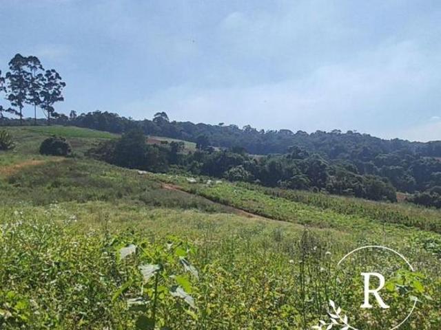 Invista no Interior Paulista – Terreno em Ibiúna