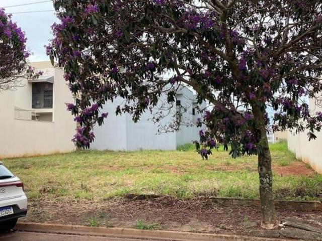 Invista com Estilo: Terreno de 500m² Esperando por Suas Ideias Inovadoras!