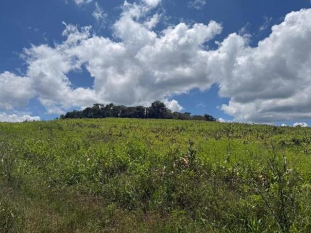 Invista em Lotes em Ibiúna SP – Oportunidade no Interior com Alta Valorização