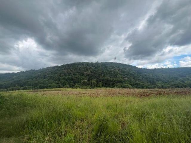 Invista em Qualidade de Vida – Terreno em Ibiúna