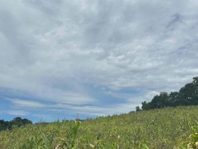 Invista em Qualidade de Vida – Terreno em Ibiúna