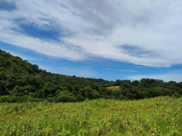 Invista em Qualidade de Vida – Terreno em Ibiúna