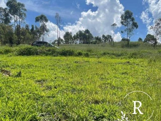 Invista em Terreno em São João Novo – São Roque