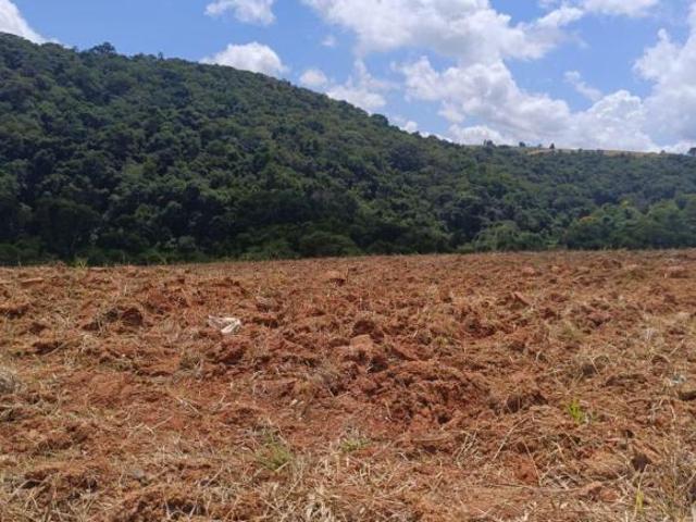 Invista em Terrenos Amplos e Valorizados em Ibiúna