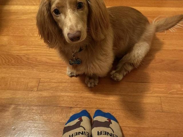 ISO 2 Roommates