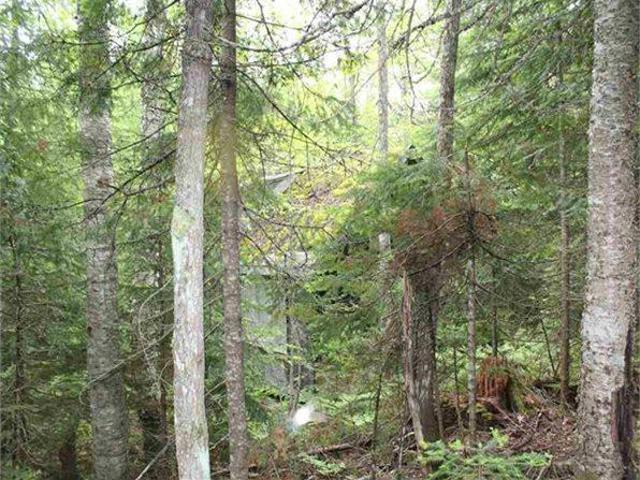 Ishpeming, MI Marquette Country Land 3.600000 acre for sale in Ishpeming, Michigan