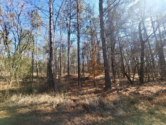 Island Creek Dr Lot 55, Sparta, GA 31087