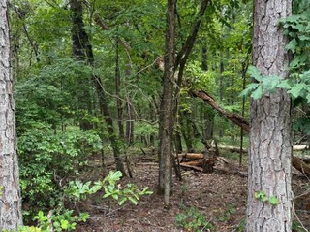 Island Creek Dr Lot 79, Sparta, GA 31087