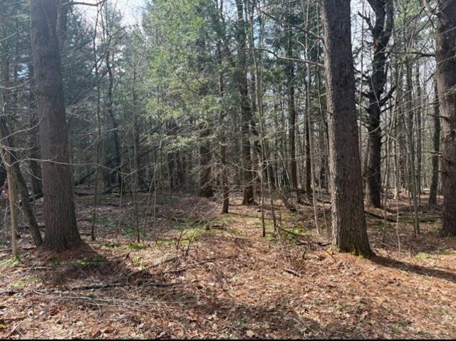Island Acres Rd, Blandford, Plot For Sale