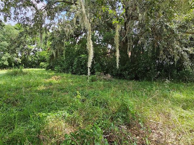 Island Dr, Leesburg, FL 34788 | MLS #O6347