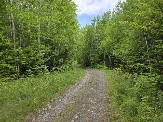 Island Falls ME 04747 104512207