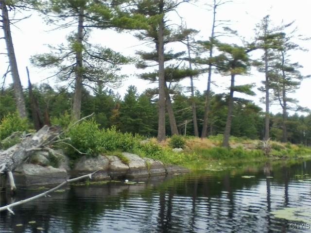 Island In Grass
