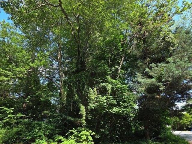 Island Rd, Norton, Plot For Sale