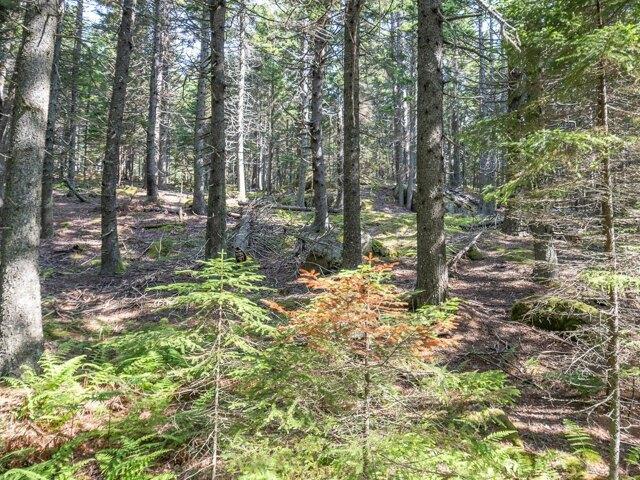 Island Retreat Rd, Swans Island, Plot For Sale