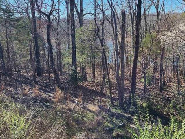 Isleta Dr, Cherokee Village, AR 72529