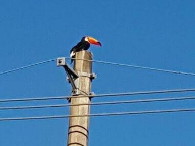 Ipês da Malota Terreno em condomínio fechado de alto padrão na Malota, Jundiaí