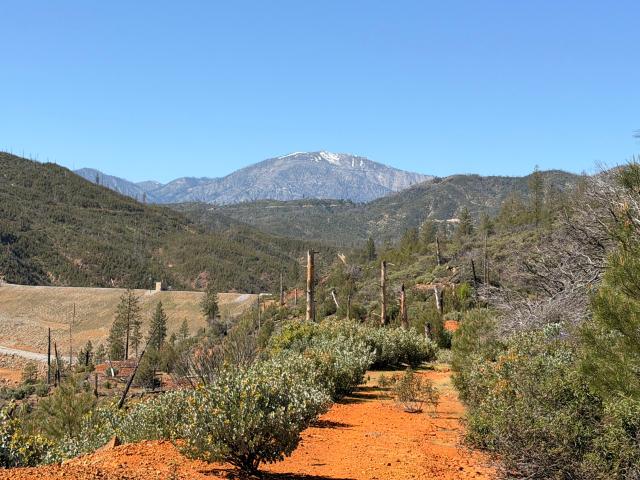 Iron Mountain Road