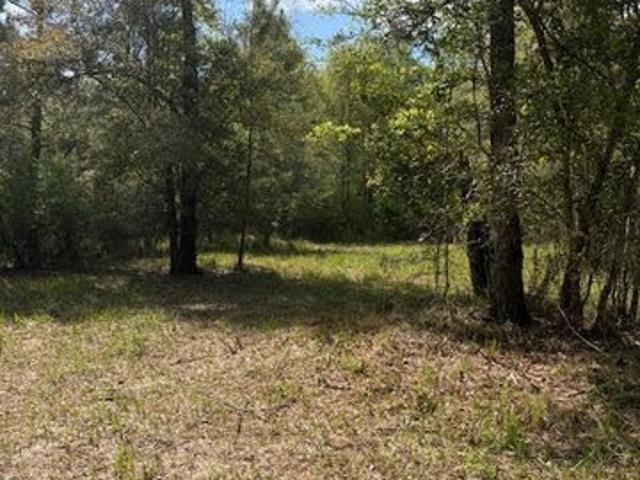 Iron Bridge Rd, Marianna, FL 32448
