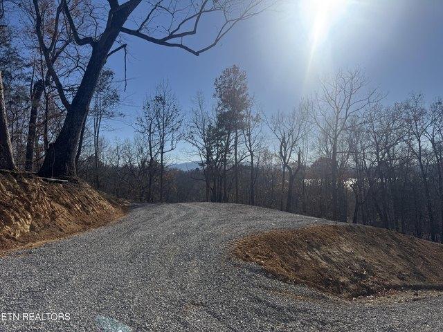 Iron Gate Dr, Baneberry, TN 37890