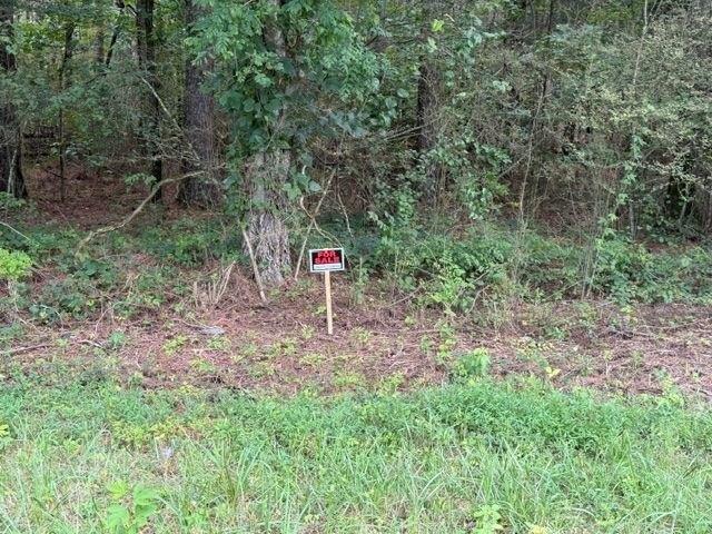 Iron Hill Rd Lot 4, Taylorsville, GA 30178