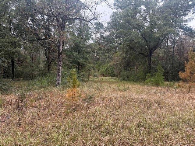 Iron Rush Rd, Wilmer, AL 36587