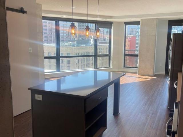 Ironclad Residential 1 Bedroom Apartment for Rent at 811 Washington Ave S, Minneapolis, MN 55415 Downtown East