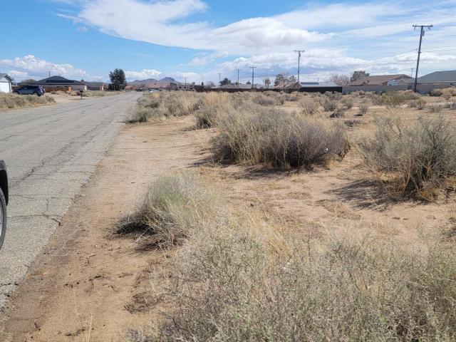 Ironwood Avenue
