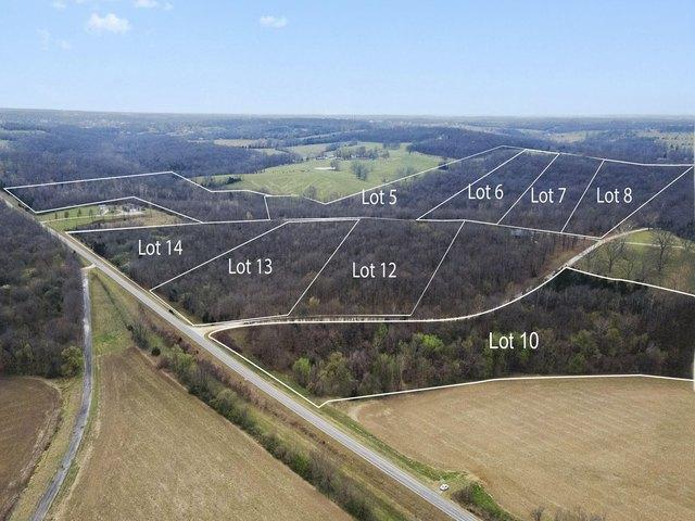 Ireson Ests Lot 14, Stockton, MO 65785
